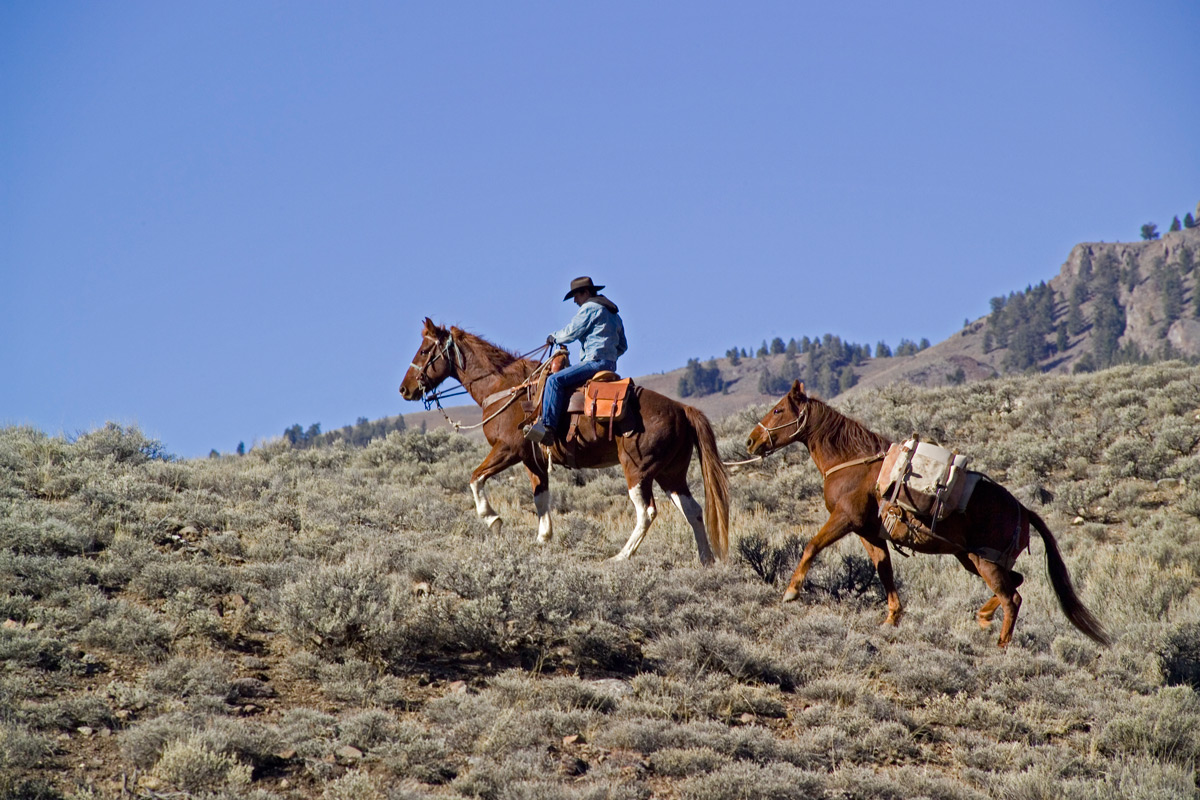 Idaho Guest Ranch Near Sun Valley | Visit Sun Valley