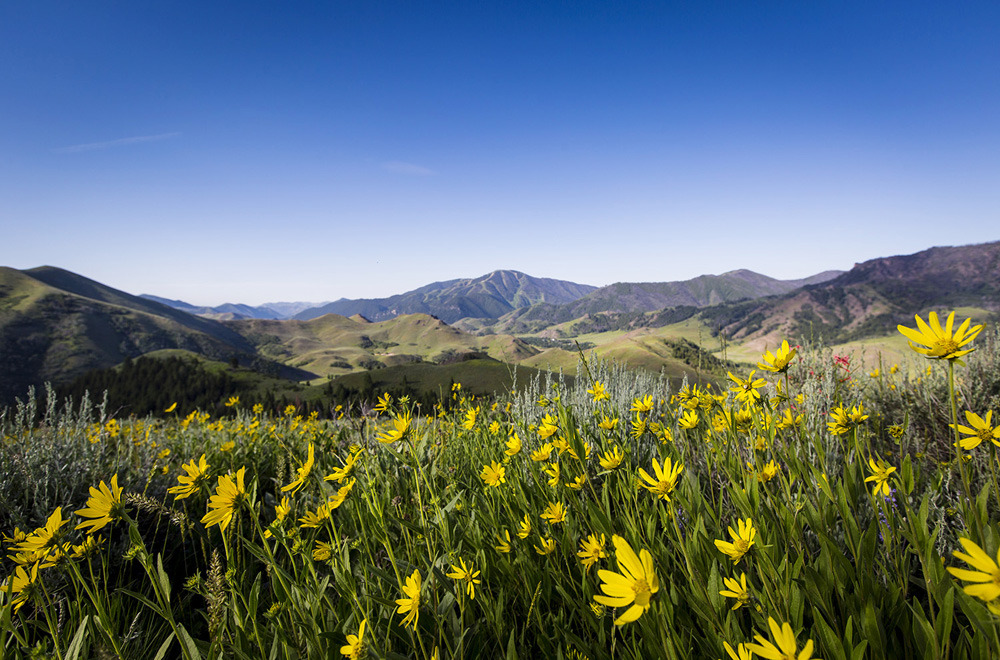 5 Reasons Sun Valley Summers Shine