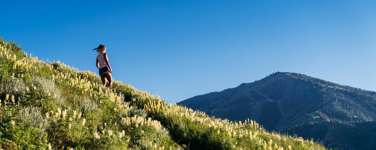 Ketchum - Sun Valley Visitor Information Guide